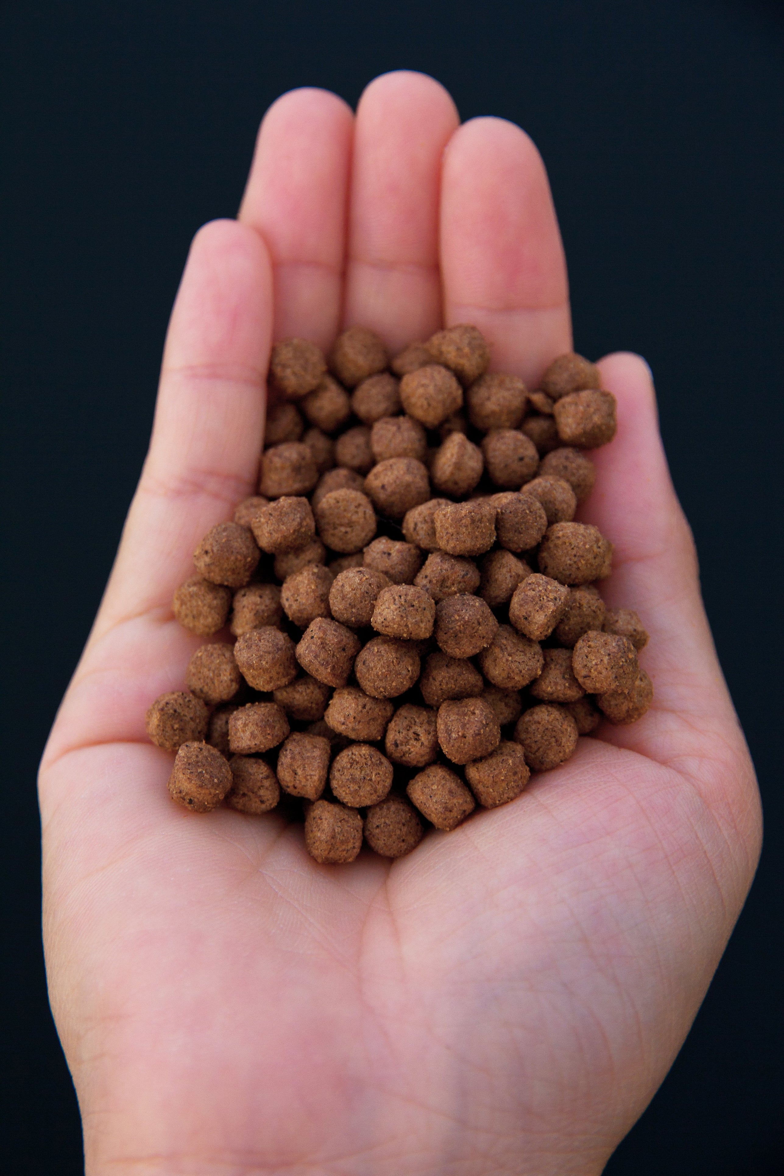 Mastering the Use of Floating Pellets — FishingPellets.com