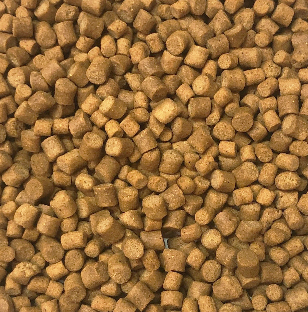 Coppens 6mm Coarse Fish Feed Pellets for Ponds & Lakes 1kg to 25kg ...