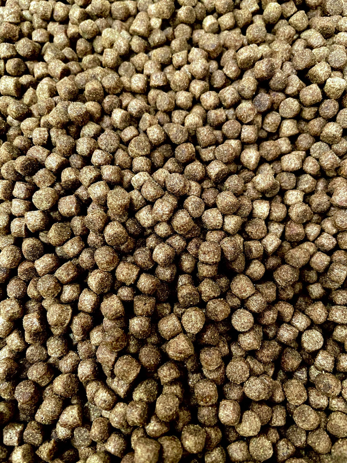 6mm Floating Pellets (1kg-20kg) — FishingPellets.com